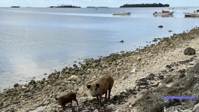 Qué ver en Tongatapu. La isla principal del Reino de Tonga ...