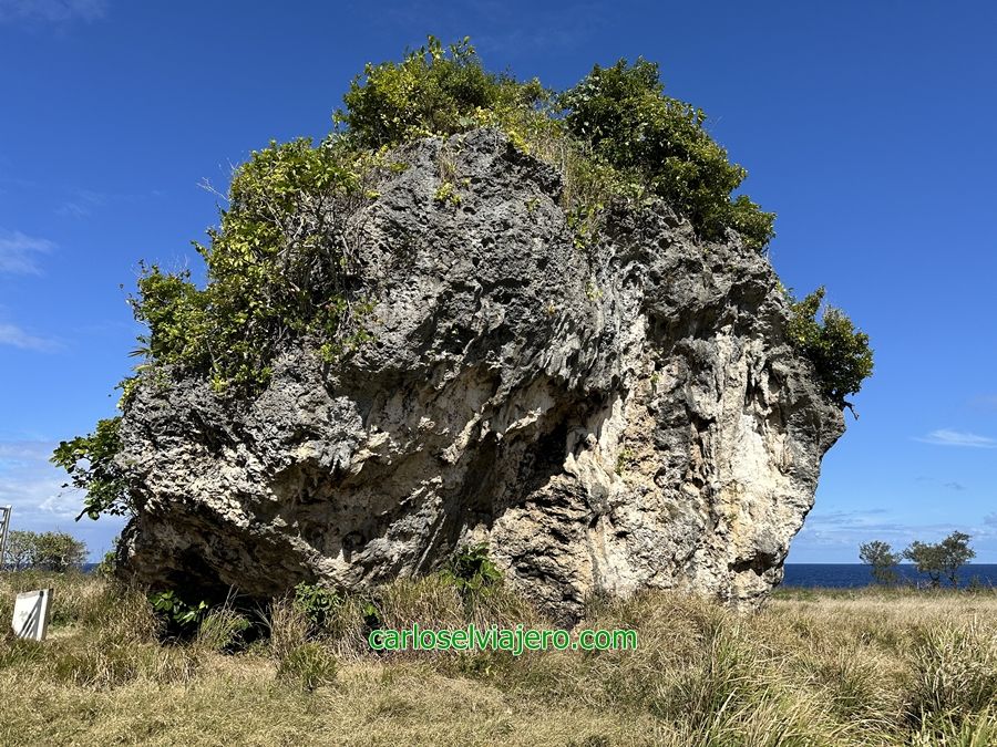 tsunami rock tongatapu - Carloselviajero